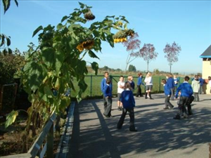 Maypole Primary School, Dartford