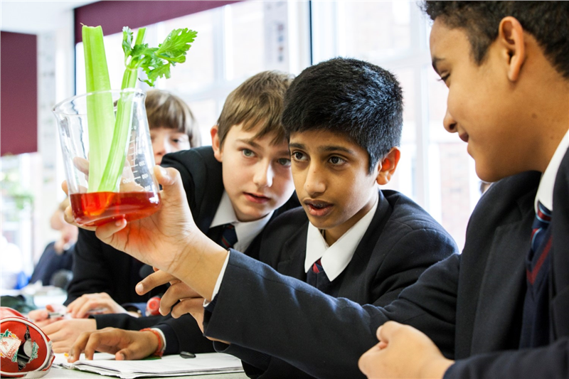 The Judd School, Tonbridge